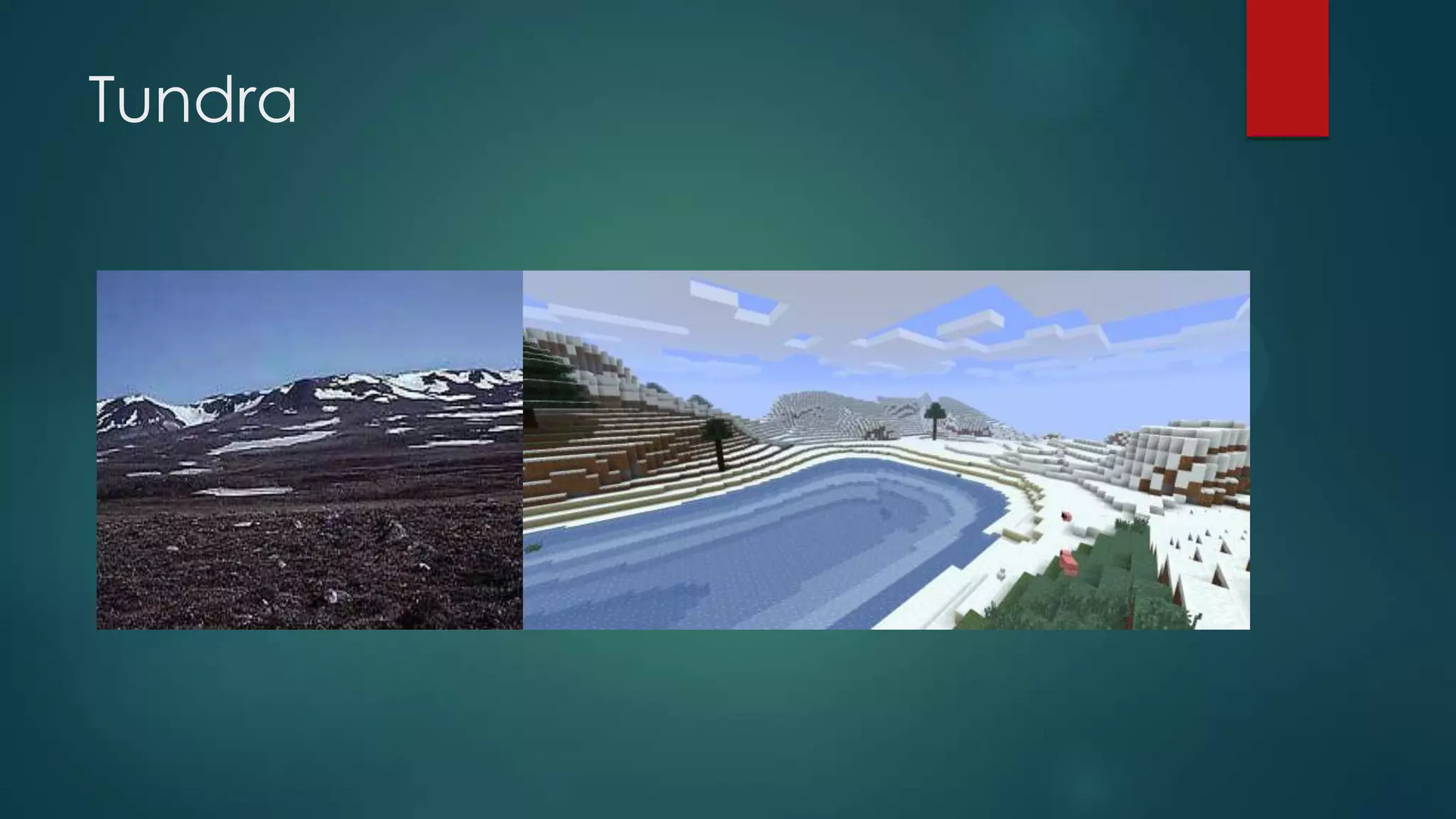 Biomes and biomes | PPTX