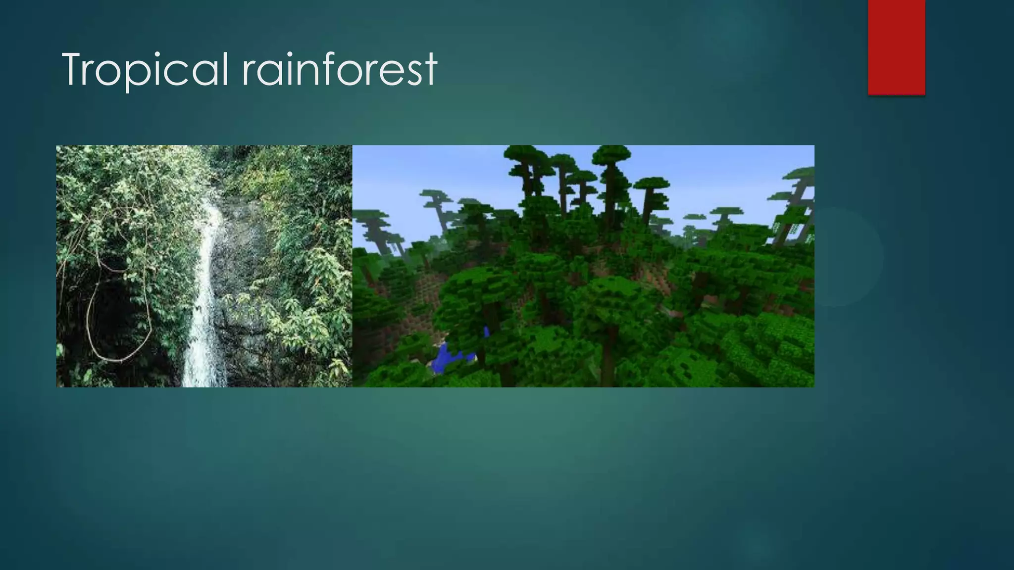 Biomes and biomes | PPTX