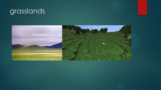 Biomes and biomes | PPTX