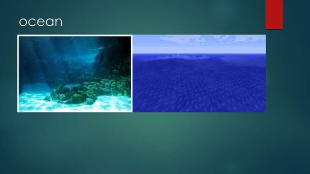 Biomes and biomes | PPTX