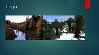 Biomes and biomes | PPTX