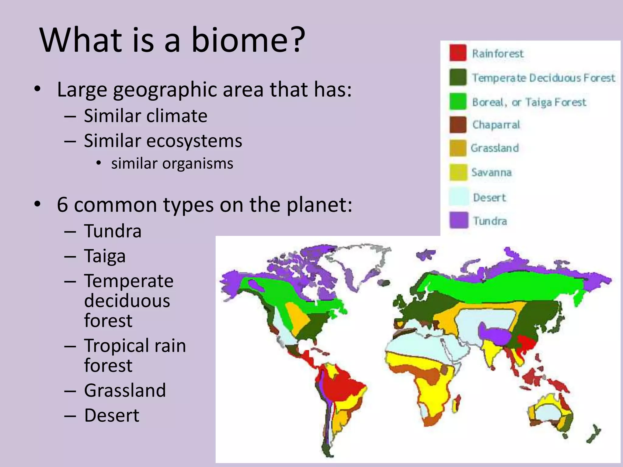 Biomes and climate | PPTX