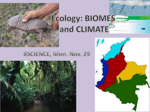 Biomes and climate | PPTX