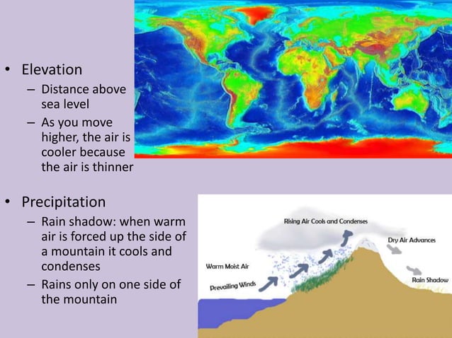 Biomes and climate | PPTX