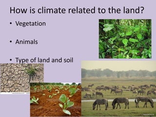 Biomes and climate | PPTX