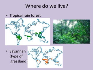 Biomes and climate | PPTX