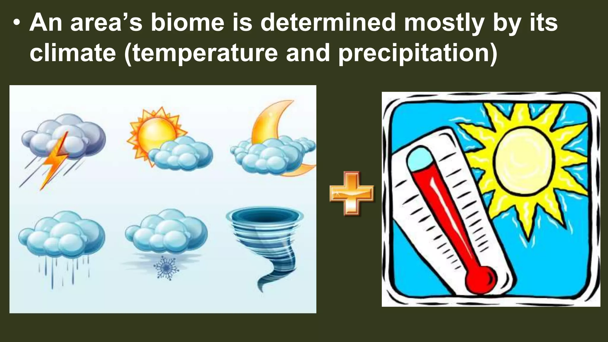 Biomes and ecosystems | PPTX
