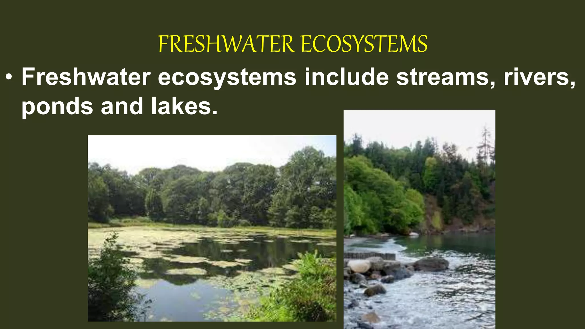 Biomes and ecosystems | PPTX