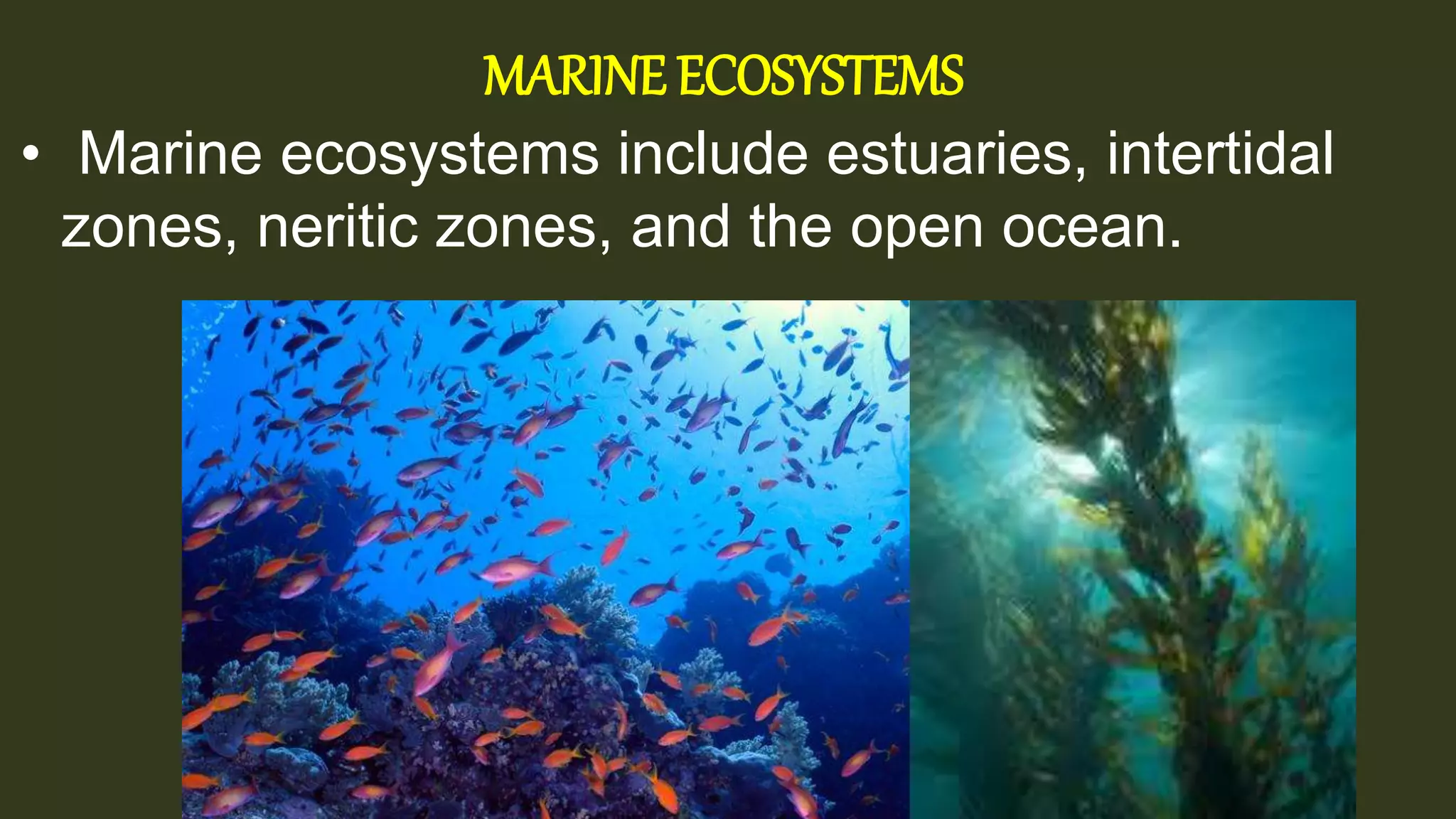 Biomes and ecosystems | PPTX