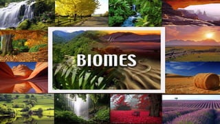 Biomes and ecosystems | PPTX