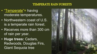 Biomes and ecosystems | PPTX