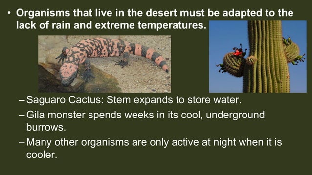 Biomes and ecosystems | PPTX