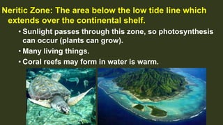 Biomes and ecosystems | PPTX