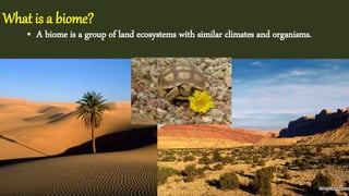 Biomes and ecosystems | PPTX