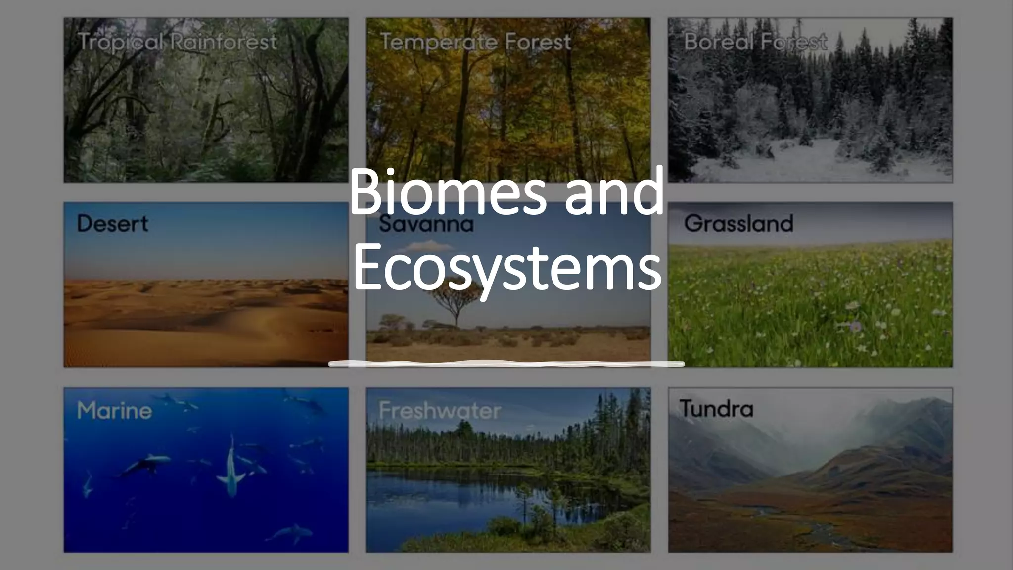 Biomes+and+Ecosystems.pdf