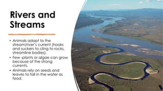 Biomes+and+Ecosystems.pdf