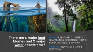 Biomes+and+Ecosystems.pdf