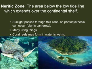 BIOMES AND ECOSYSTEMS.ppt