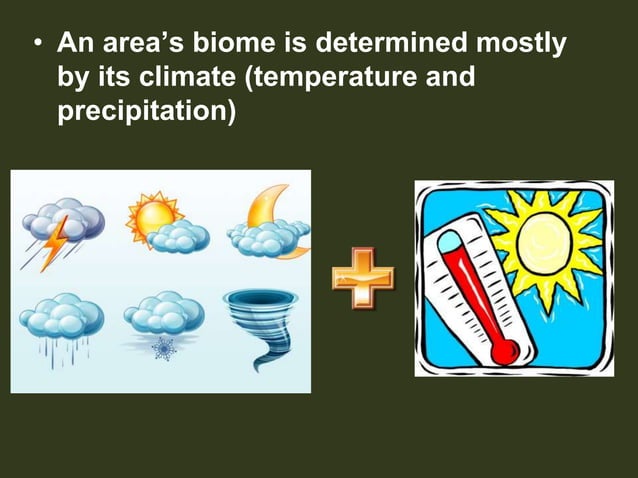 BIOMES AND ECOSYSTEMS.ppt