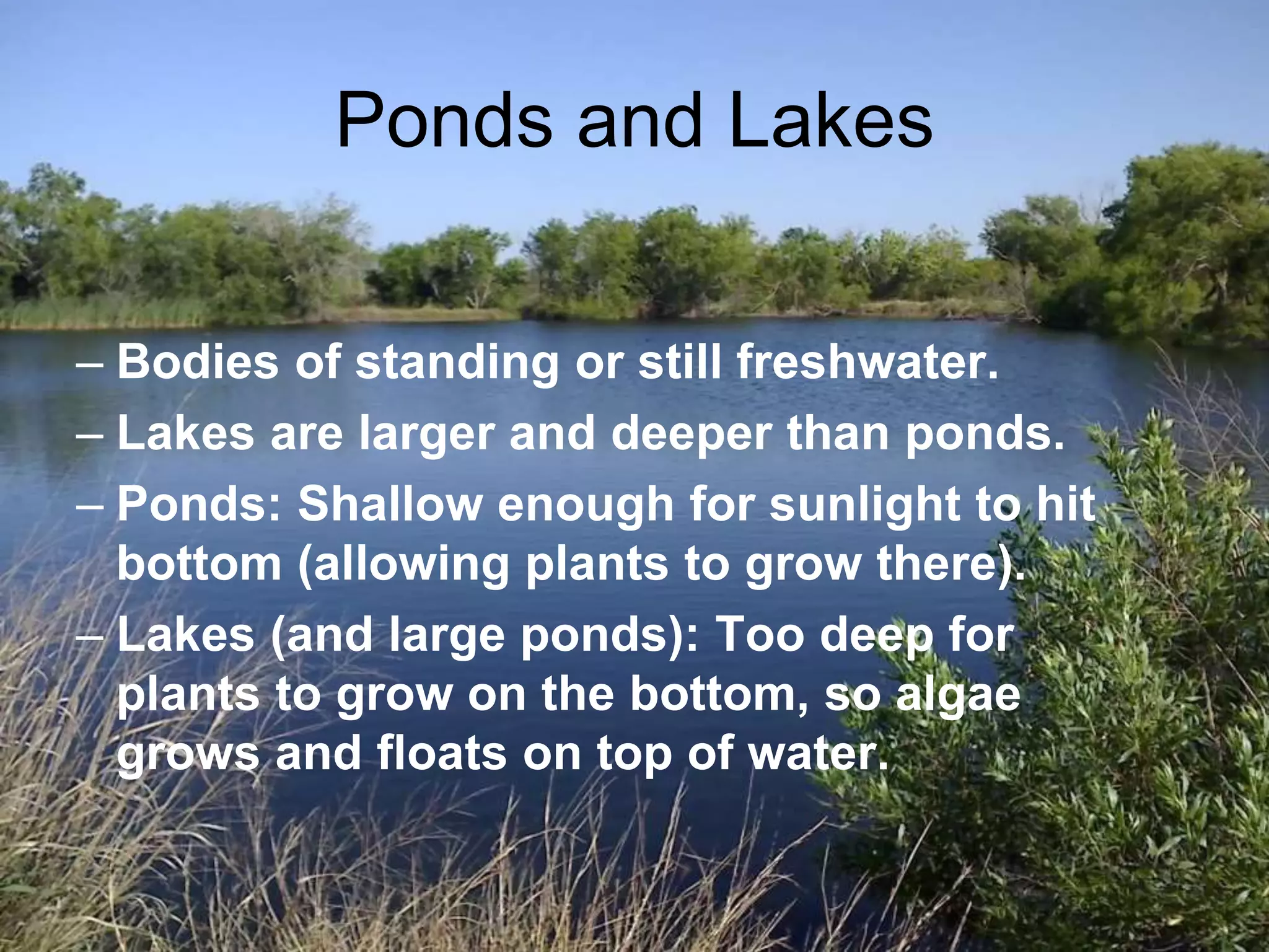 BIOMES AND ECOSYSTEMS.ppt