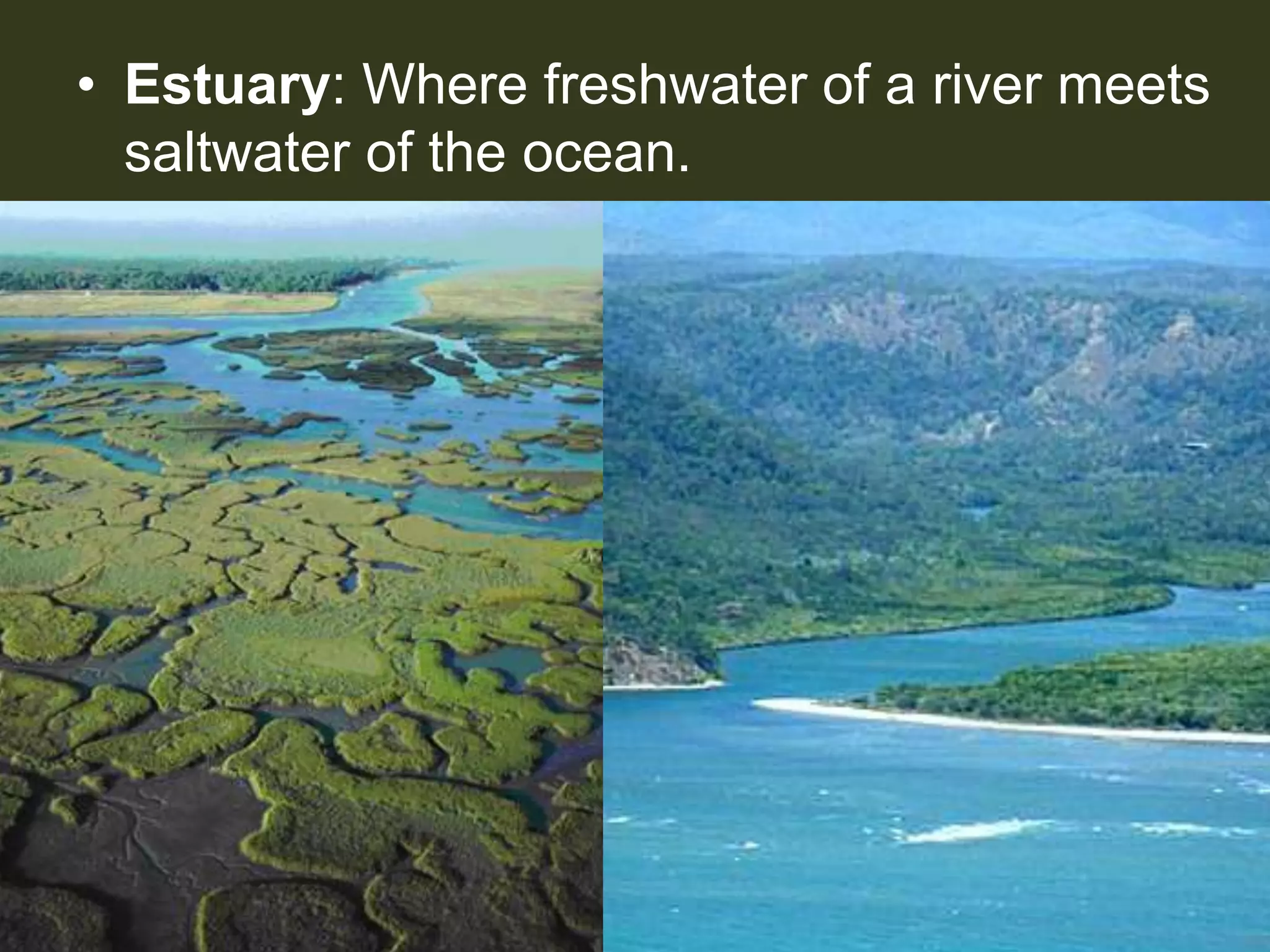 BIOMES AND ECOSYSTEMS.ppt