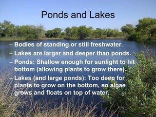 BIOMES AND ECOSYSTEMS.ppt