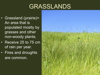 BIOMES AND ECOSYSTEMS.ppt