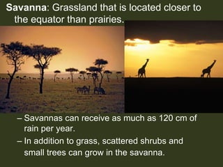 BIOMES AND ECOSYSTEMS.ppt