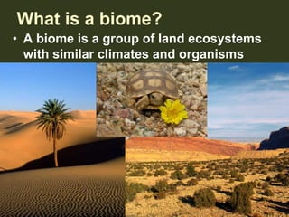 SCIENCE-BIOLOGYBIOMES AND ECOSYSTEMS.ppt
