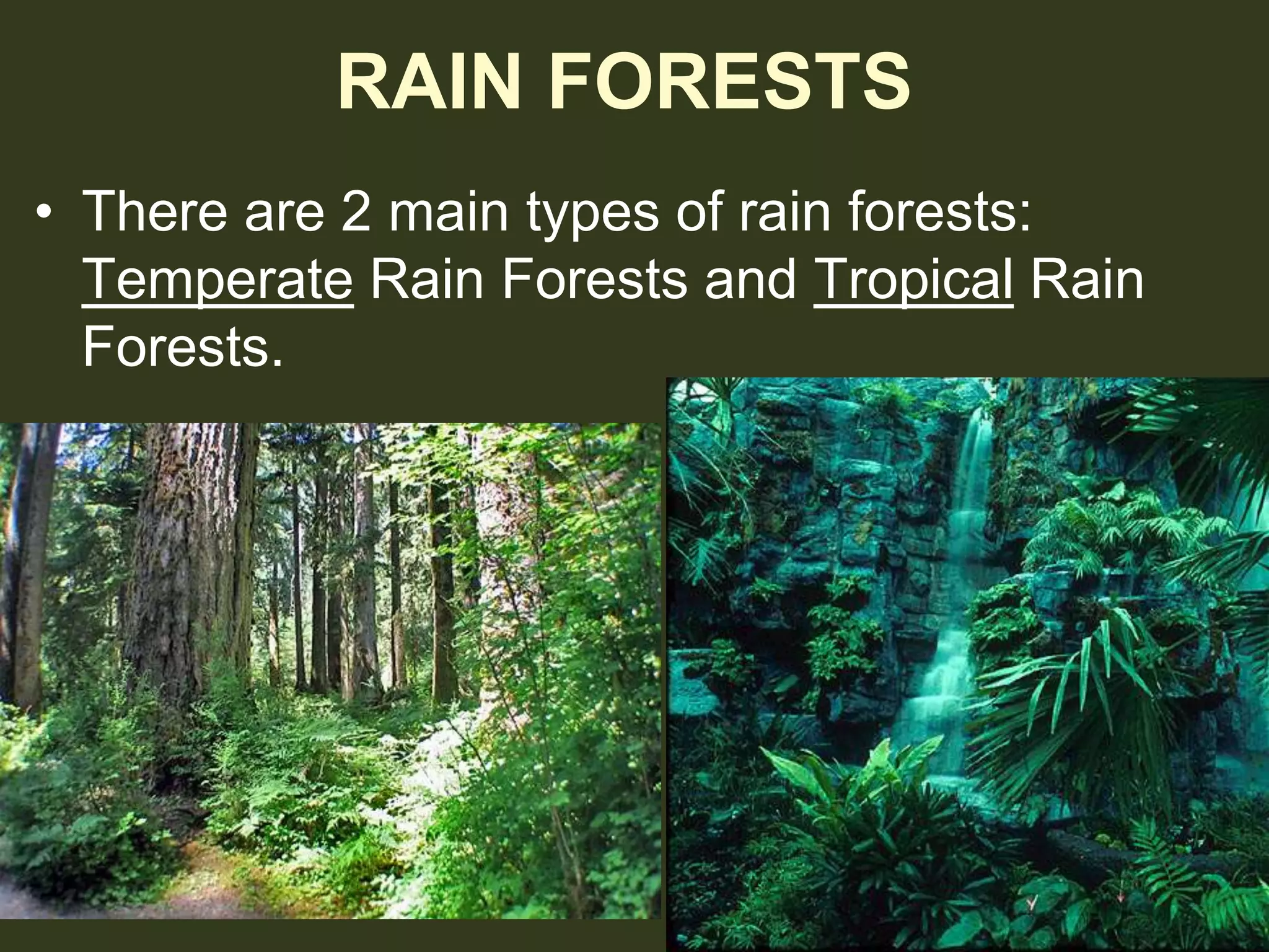 BIOMES AND ECOSYSTEMS (1).ppt