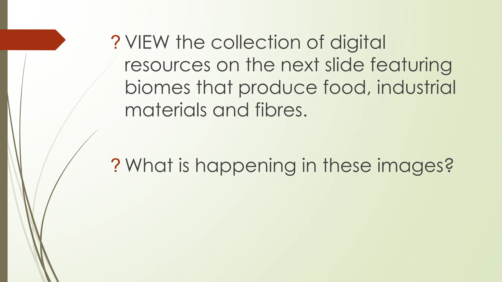 Biomes and Productivity.pptx