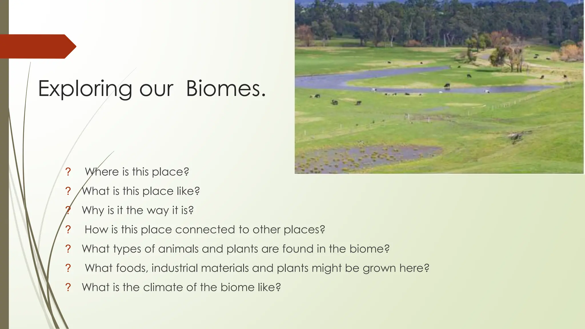 Biomes and Productivity.pptx