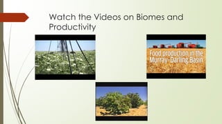 Biomes and Productivity.pptx