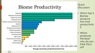 Biomes and Productivity.pptx