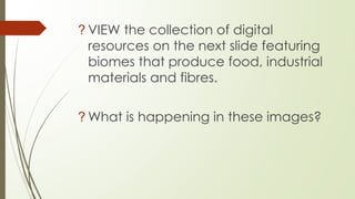 Biomes and Productivity.pptx