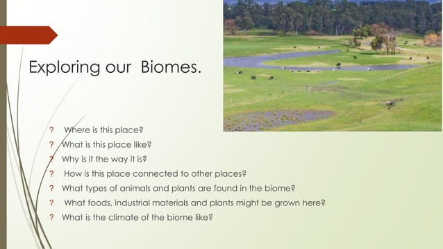 Biomes and Productivity.pptx