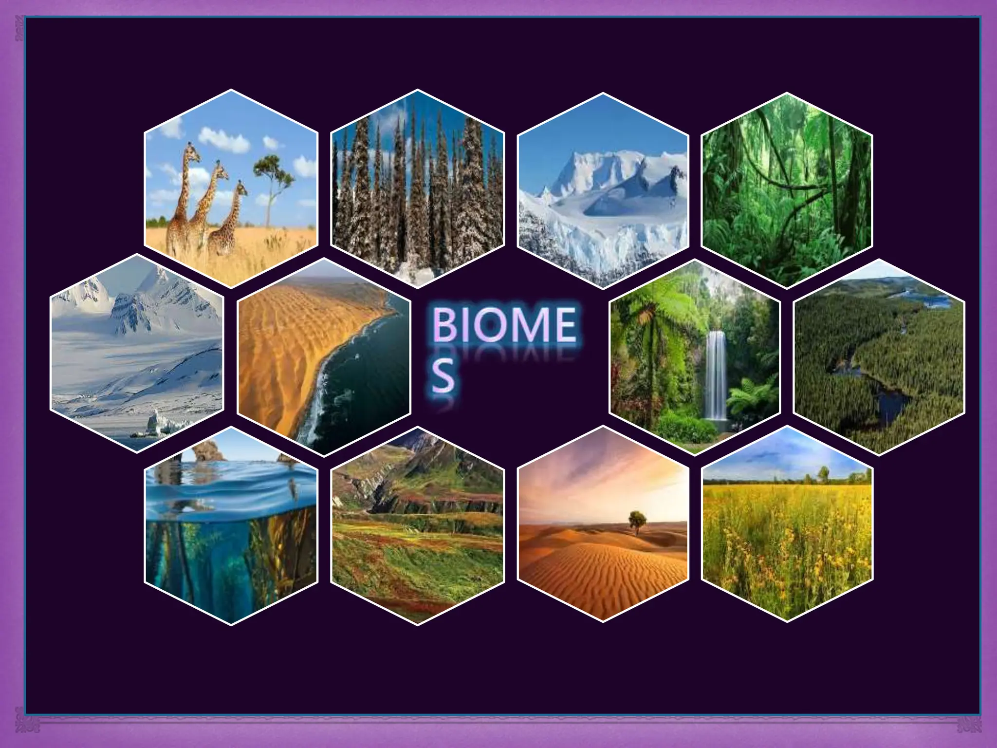 BIOMES AND THEIR DISTRIBUTION. new 3.pptx
