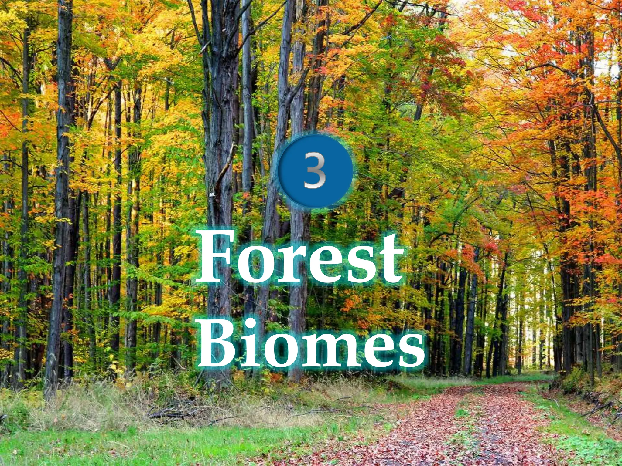BIOMES AND THEIR DISTRIBUTION. new 3.pptx