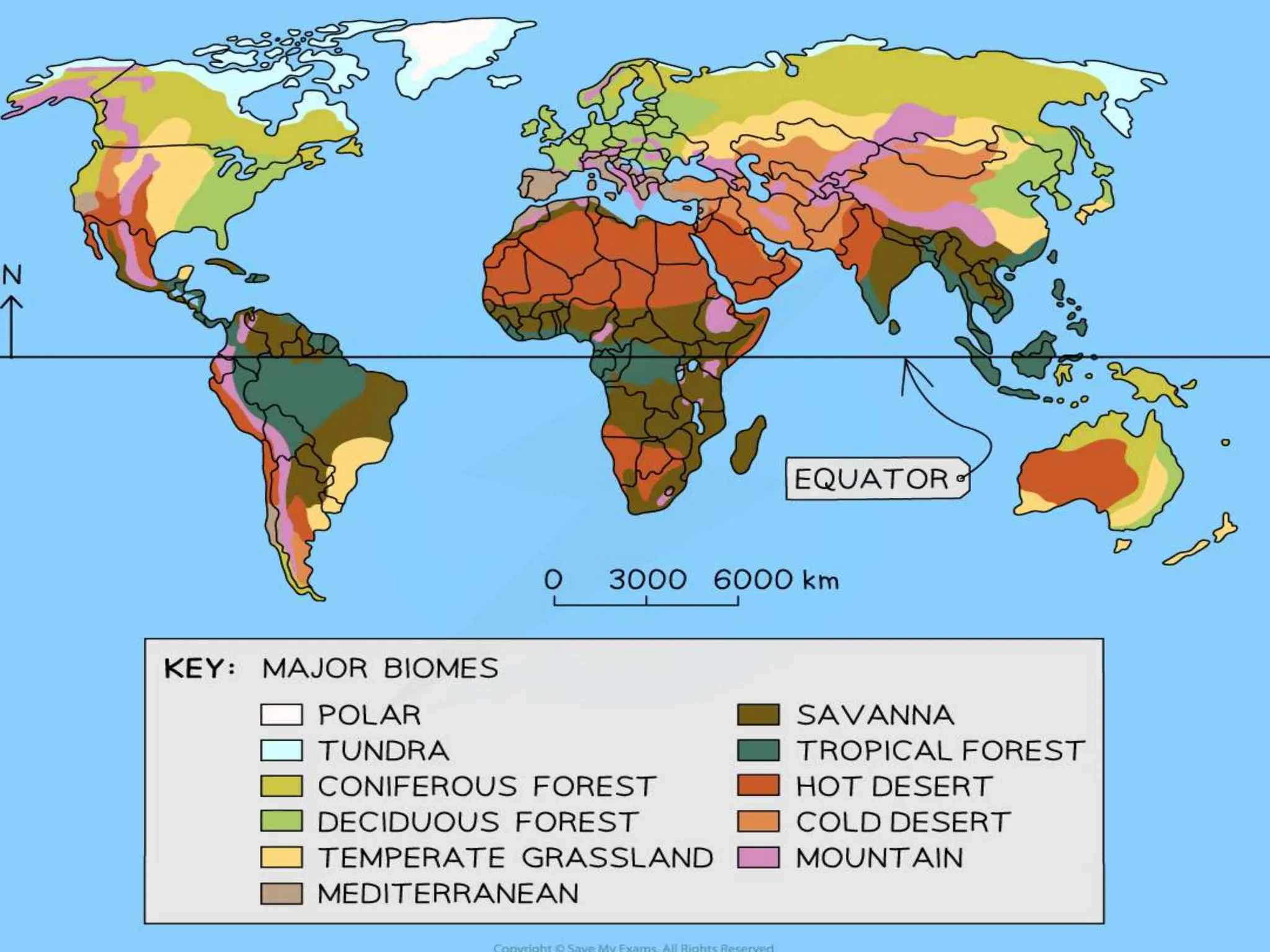 BIOMES AND THEIR DISTRIBUTION. new 3.pptx
