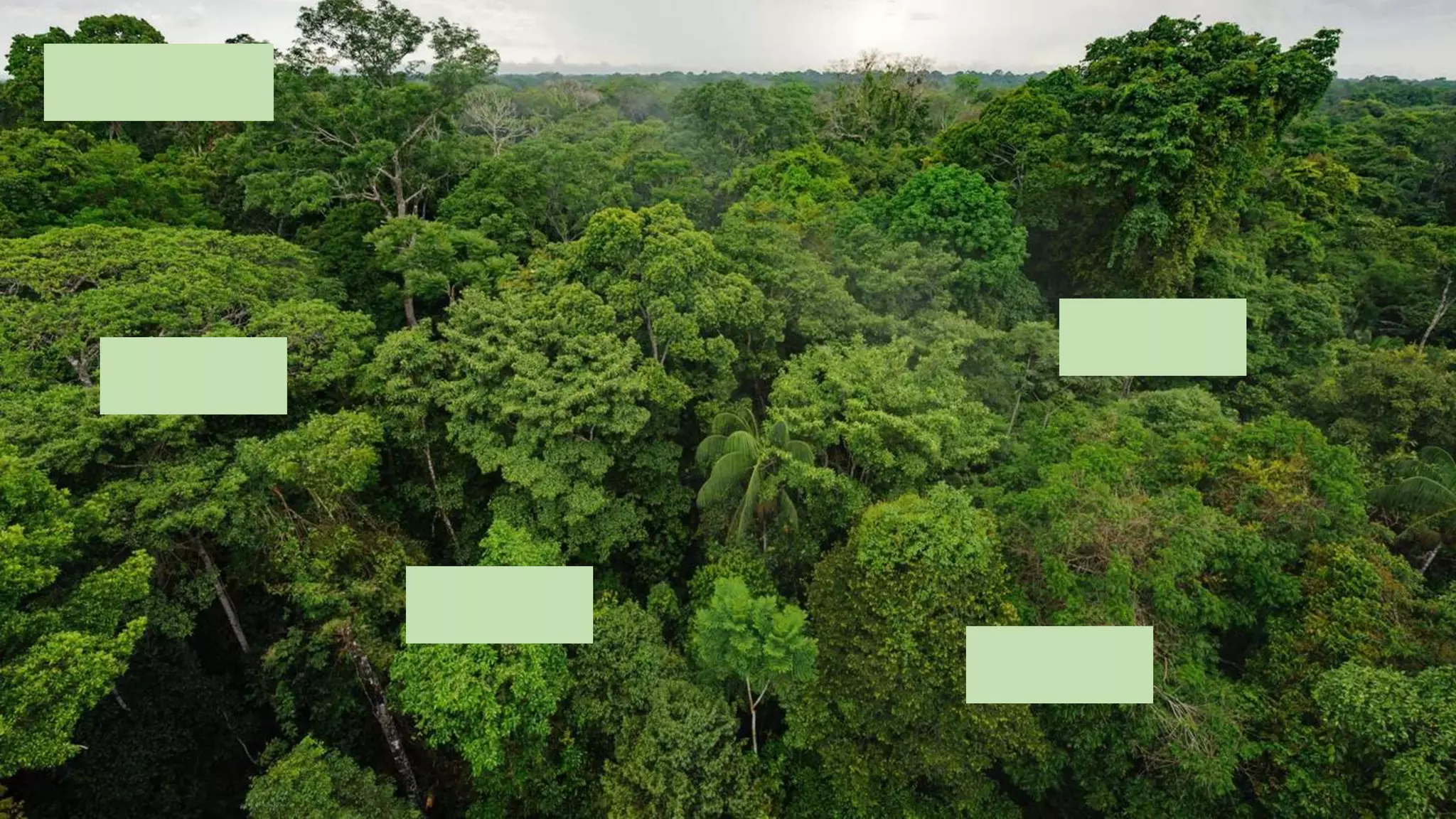 Biomes and their Natural Resources - Click and Reveal.pptx