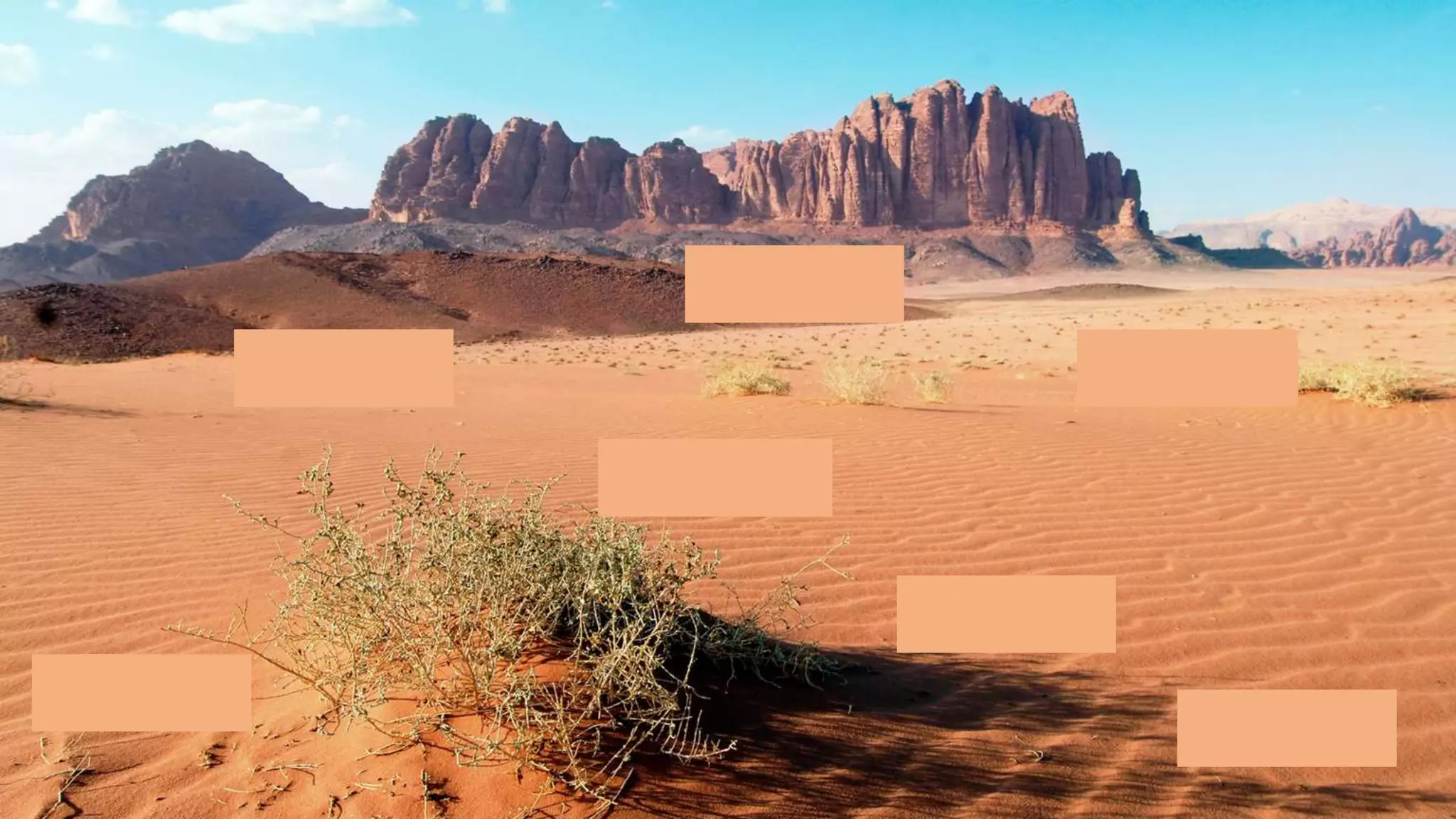 Biomes and their Natural Resources - Click and Reveal.pptx