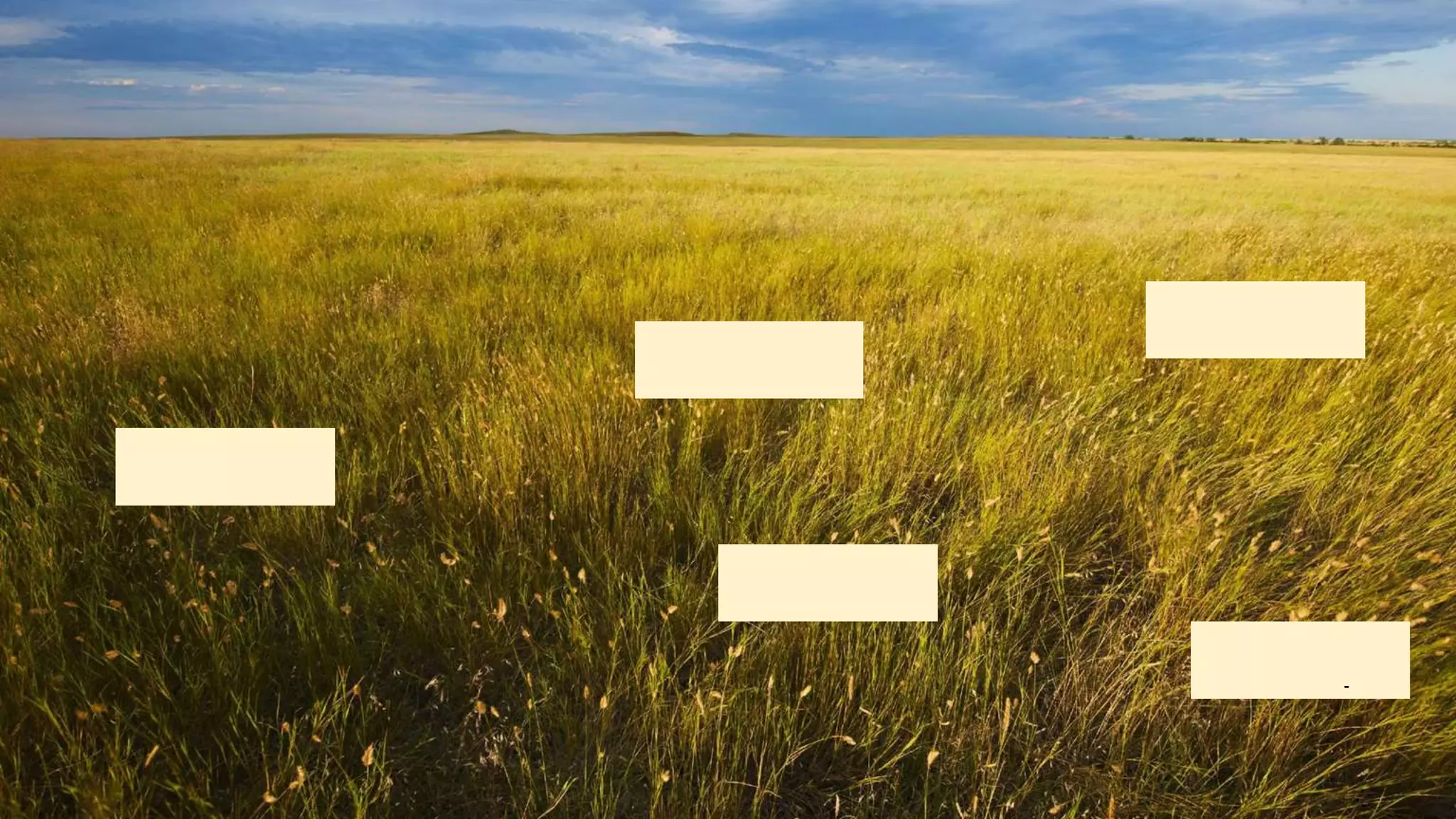 Biomes and their Natural Resources - Click and Reveal.pptx