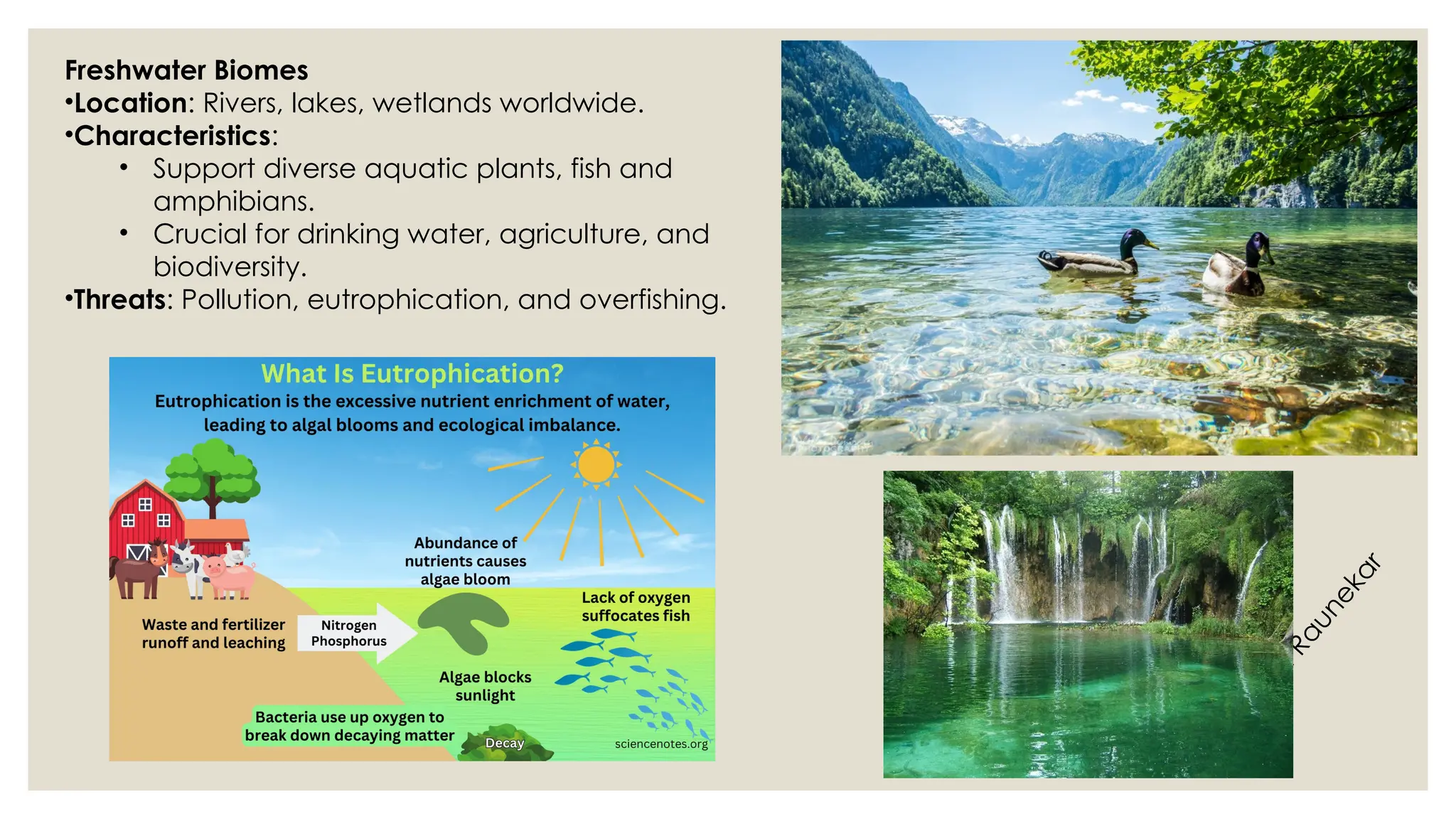 Biomes (communities on a global scale).pptx