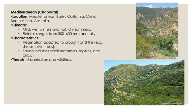 Biomes (communities on a global scale).pptx