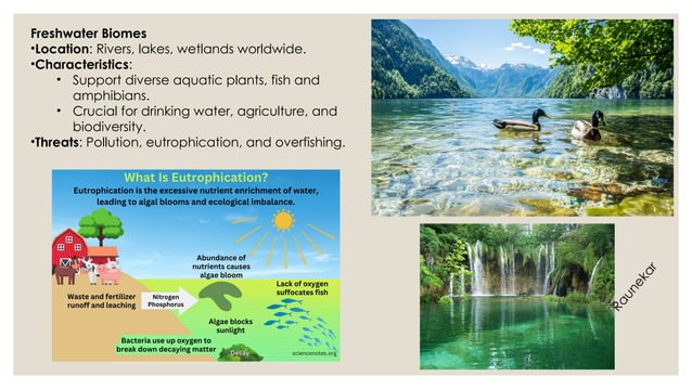 Biomes (communities on a global scale).pptx