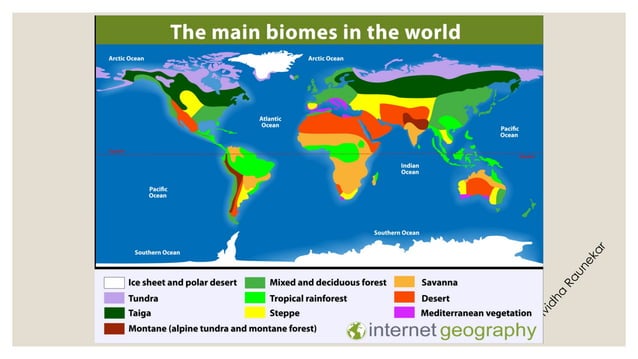 Biomes (communities on a global scale).pptx