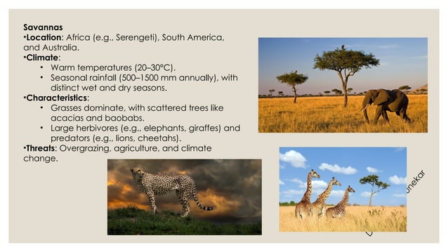 Biomes (communities on a global scale).pptx