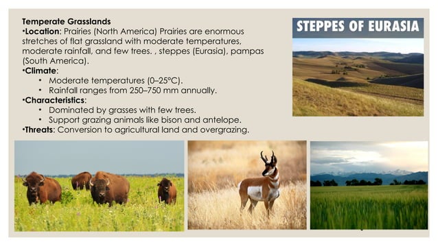 Biomes (communities on a global scale).pptx