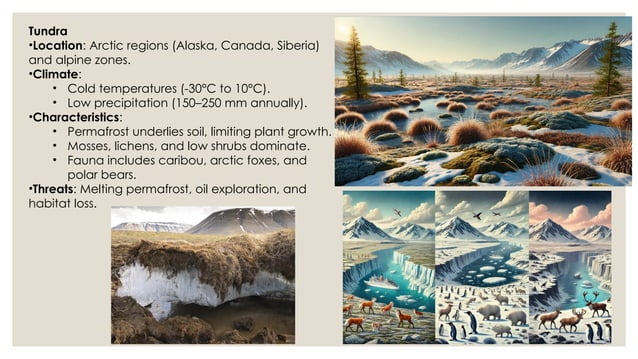 Biomes (communities on a global scale).pptx