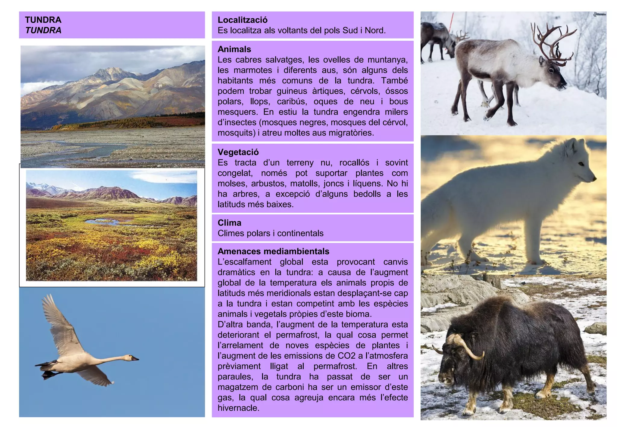Biomes del mon | PDF